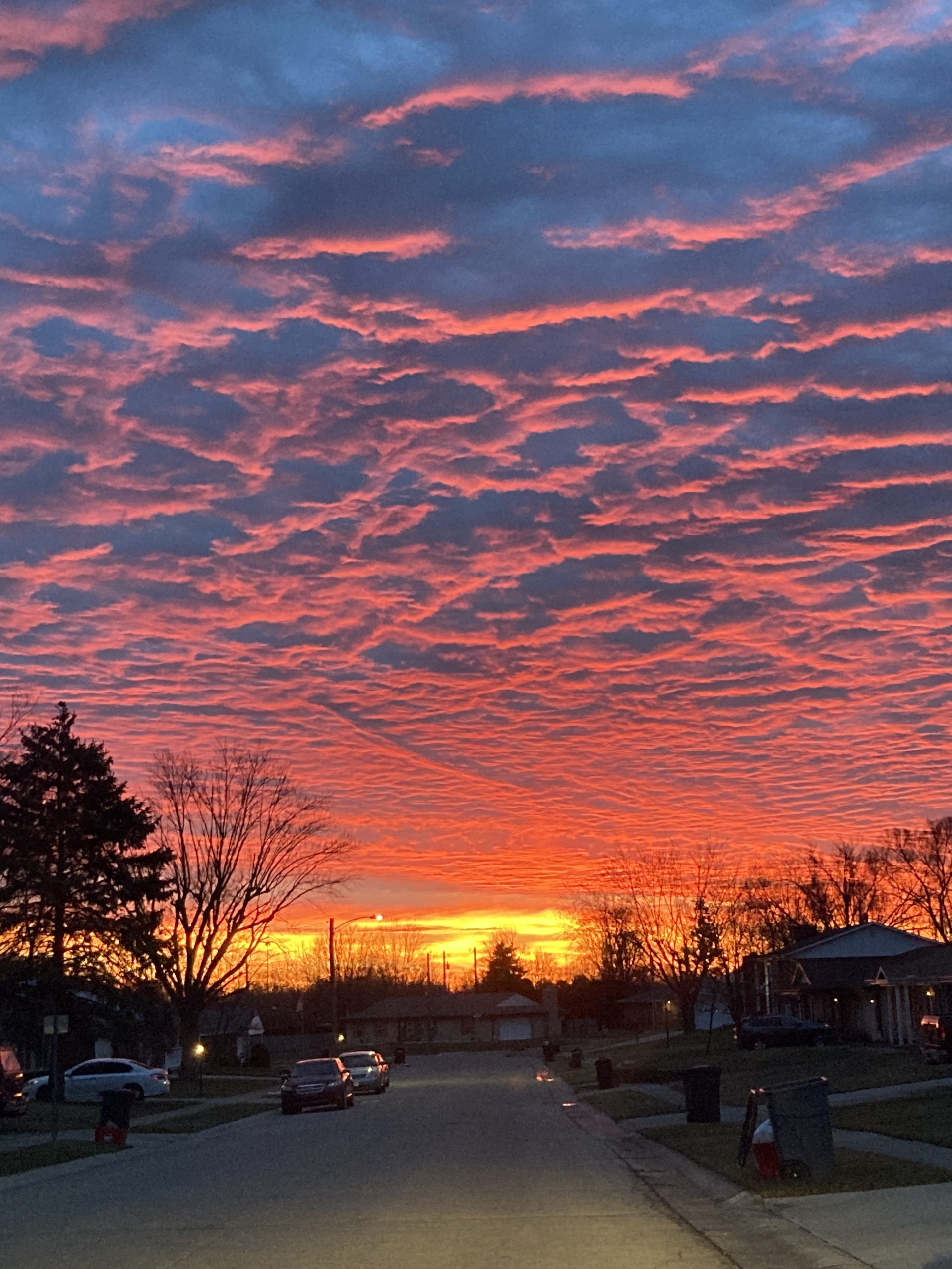 Viva Magenta! What Pantone’s Color of the Year Tells Us About Design ...